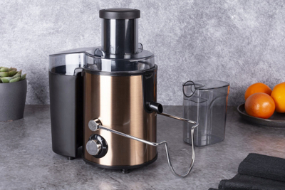 Соковник BerlingerHaus Juice Extractor, 500W, сад за сок 600 ml ...