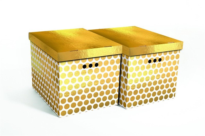 Склоплива кутија за документи Domoletti Foldable Cart Box2, | ZirafaMall